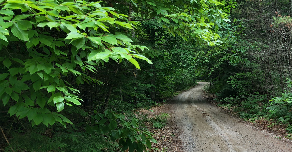 Following the Bread Crumbs (#838) | The God Journey