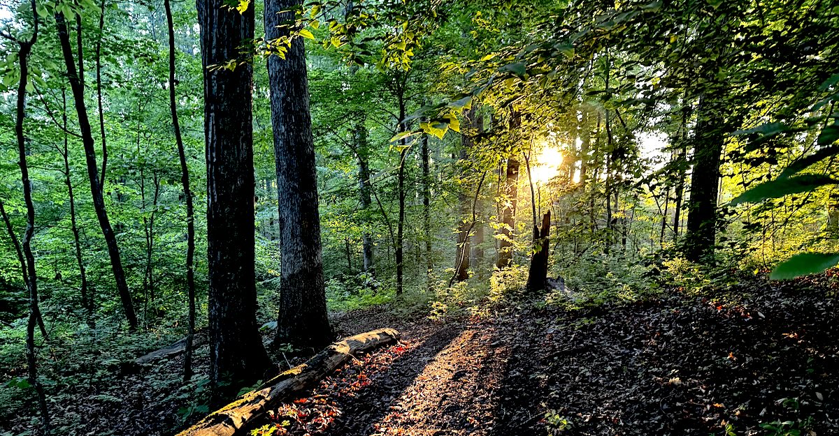 Playing Hide and Seek with God (#943) | The God Journey
